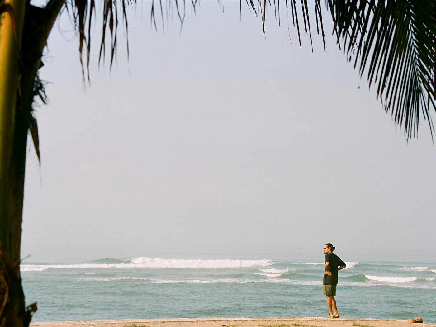 Milou & Davey's Island Magique